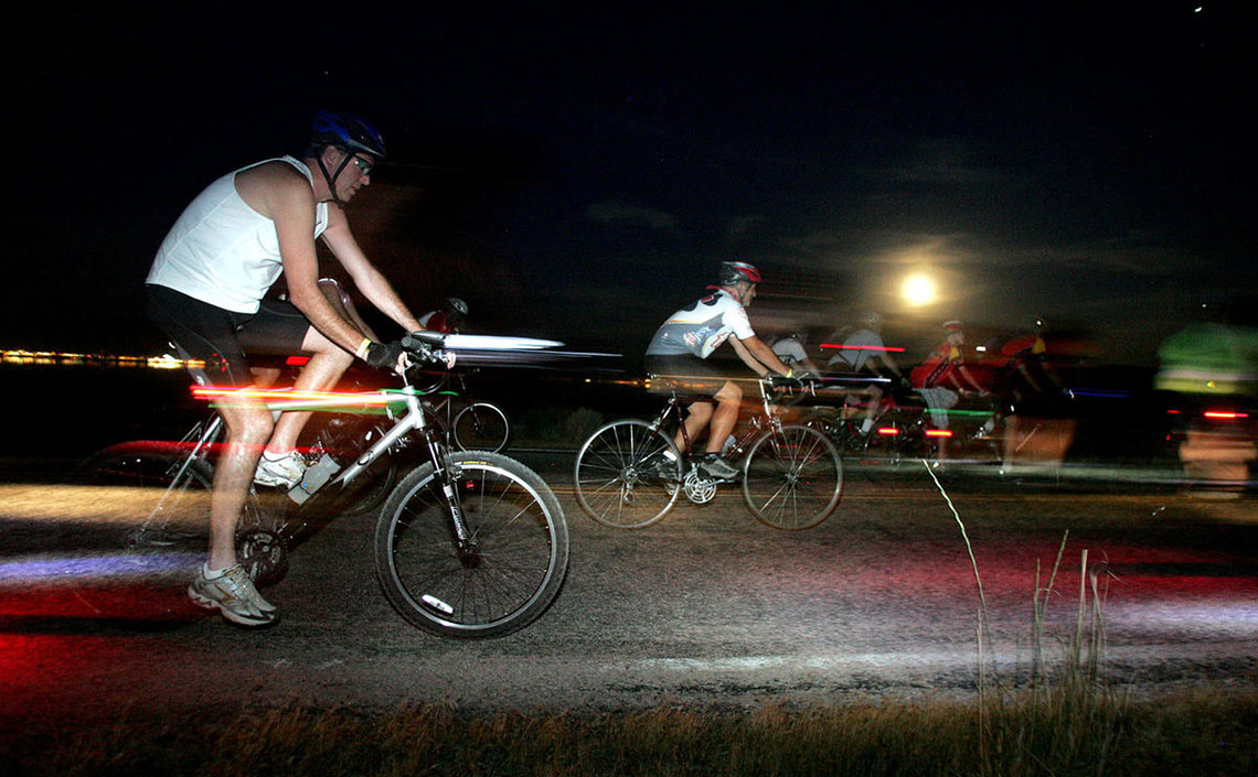 Antelope by Moonlight