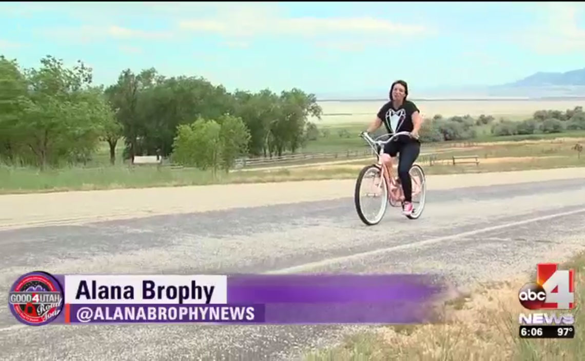 Antelope by Moonlight