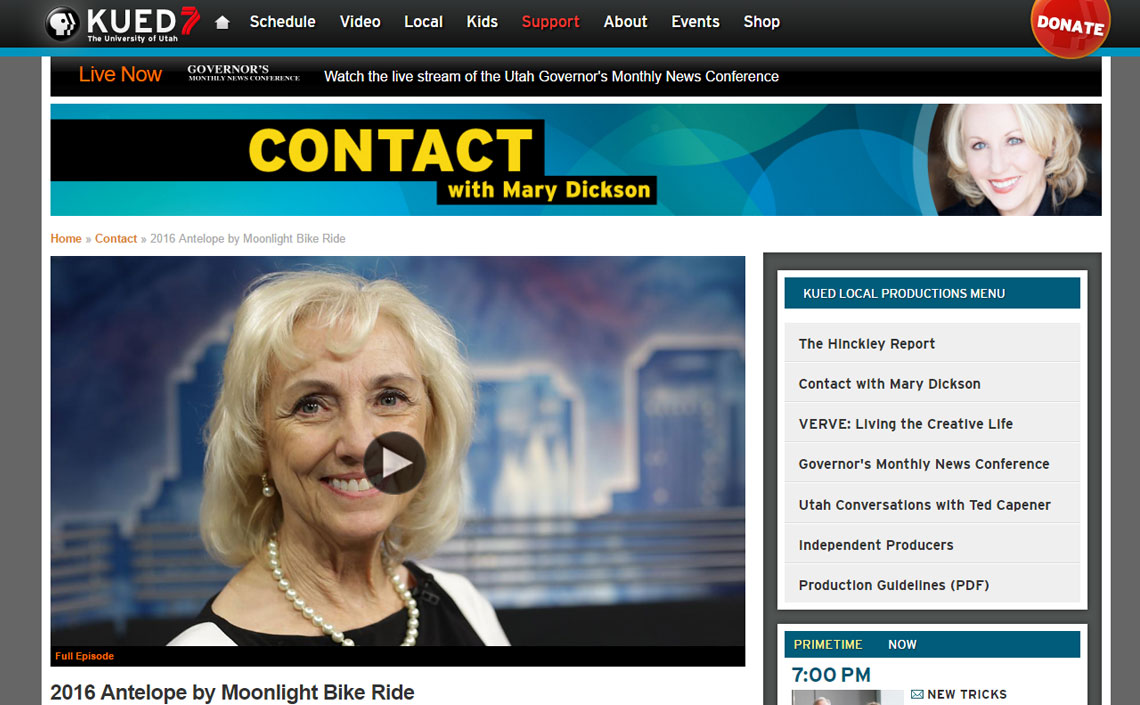 Antelope by Moonlight